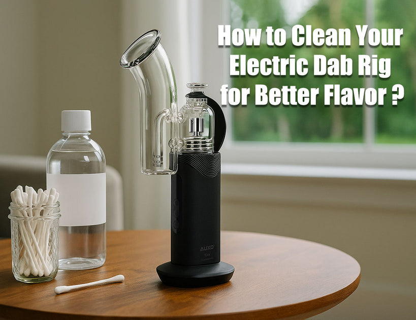 How to Clean Your Electric Dab Rig for Better Flavor and Performance – HUMANSUCKS
